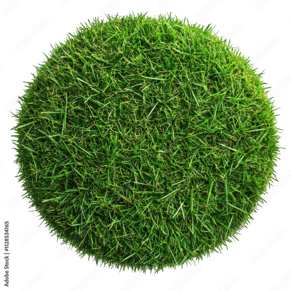Patch of fresh green lawn grass circle land ground floor garden and ...