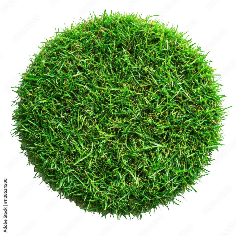 Patch of fresh green lawn grass circle land ground floor garden and ...