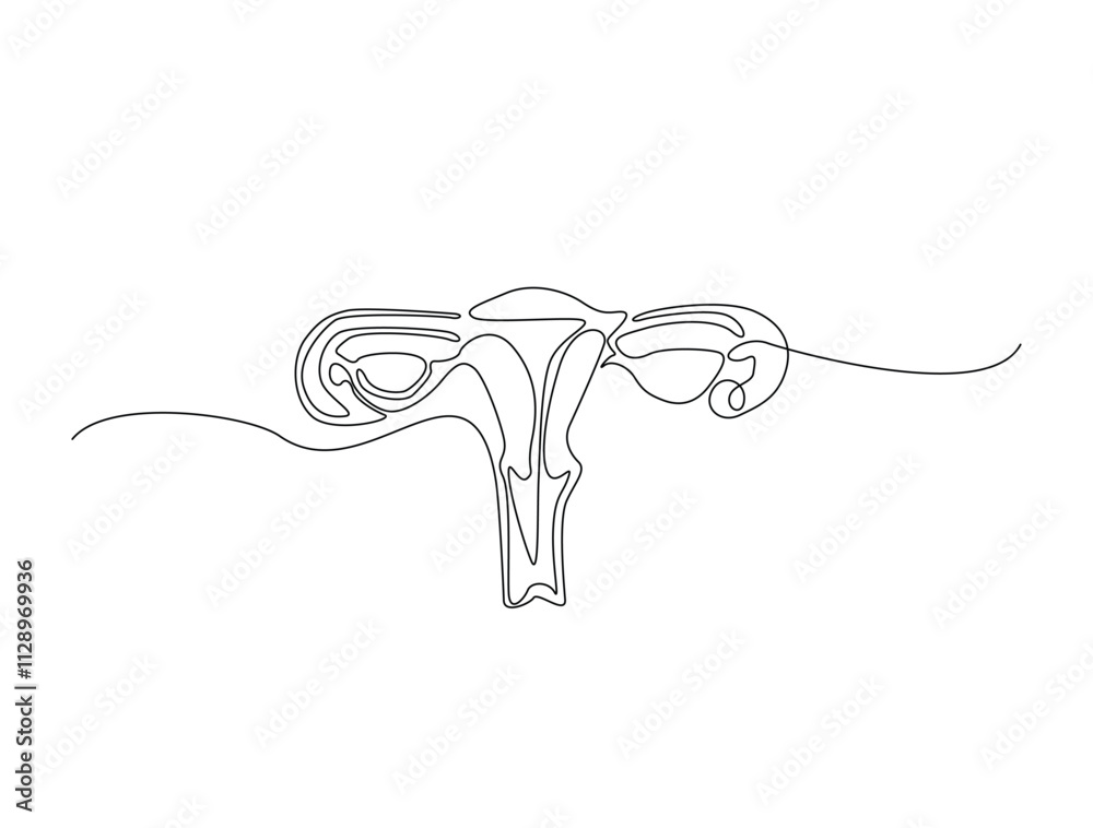 Continuous one line drawing of uterus woman reproductive organ. ovary ...