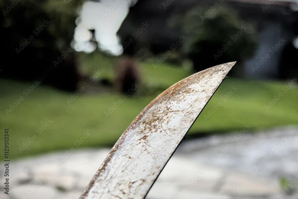 rusty machete knife with view of tropical landscape (scenic travel ...