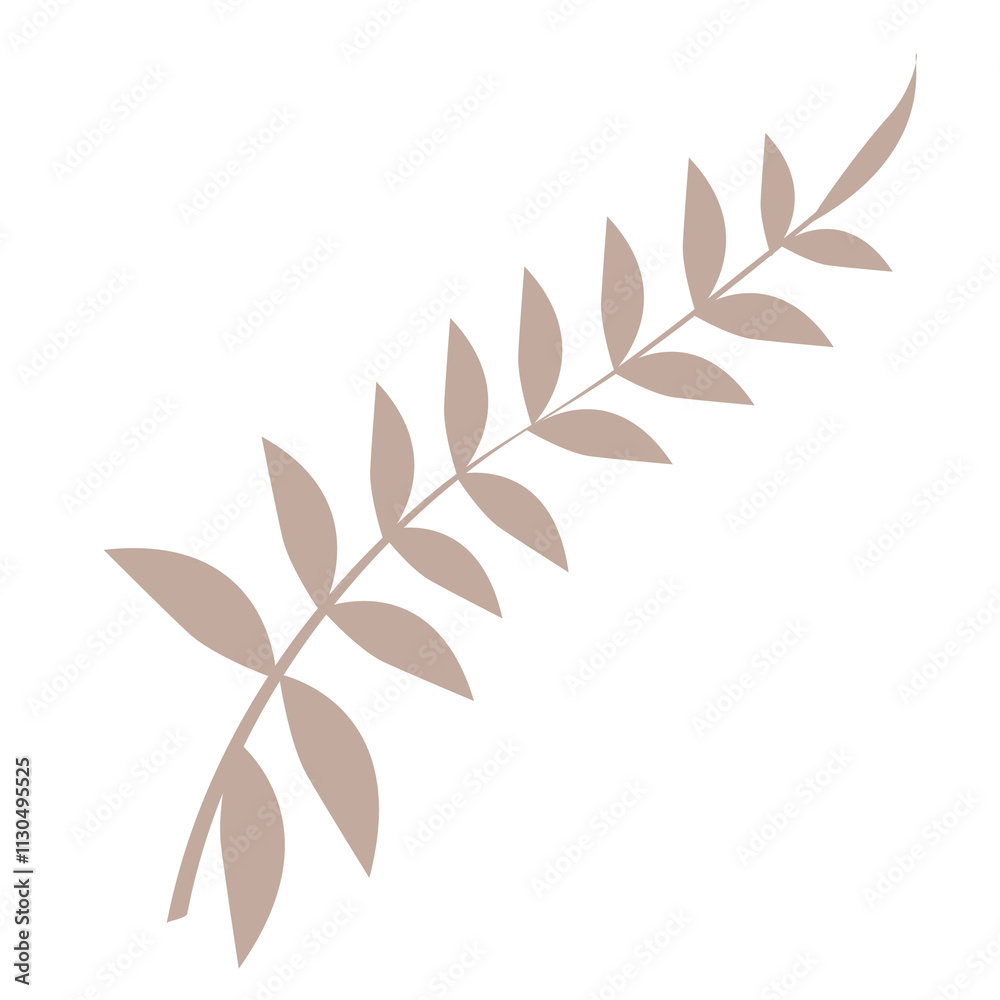 Pastel acacia leaf png clip art, aesthetic tropical illustration on ...