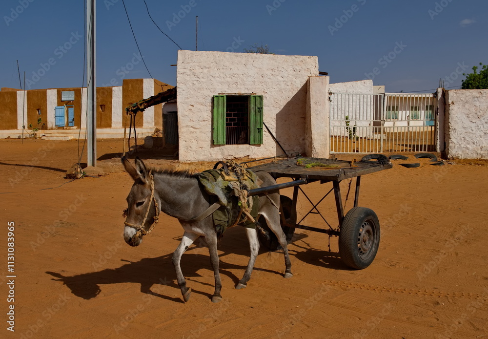Chinguetti. Mauritania. A sad donkey harnessed to a two-wheeled cart on ...