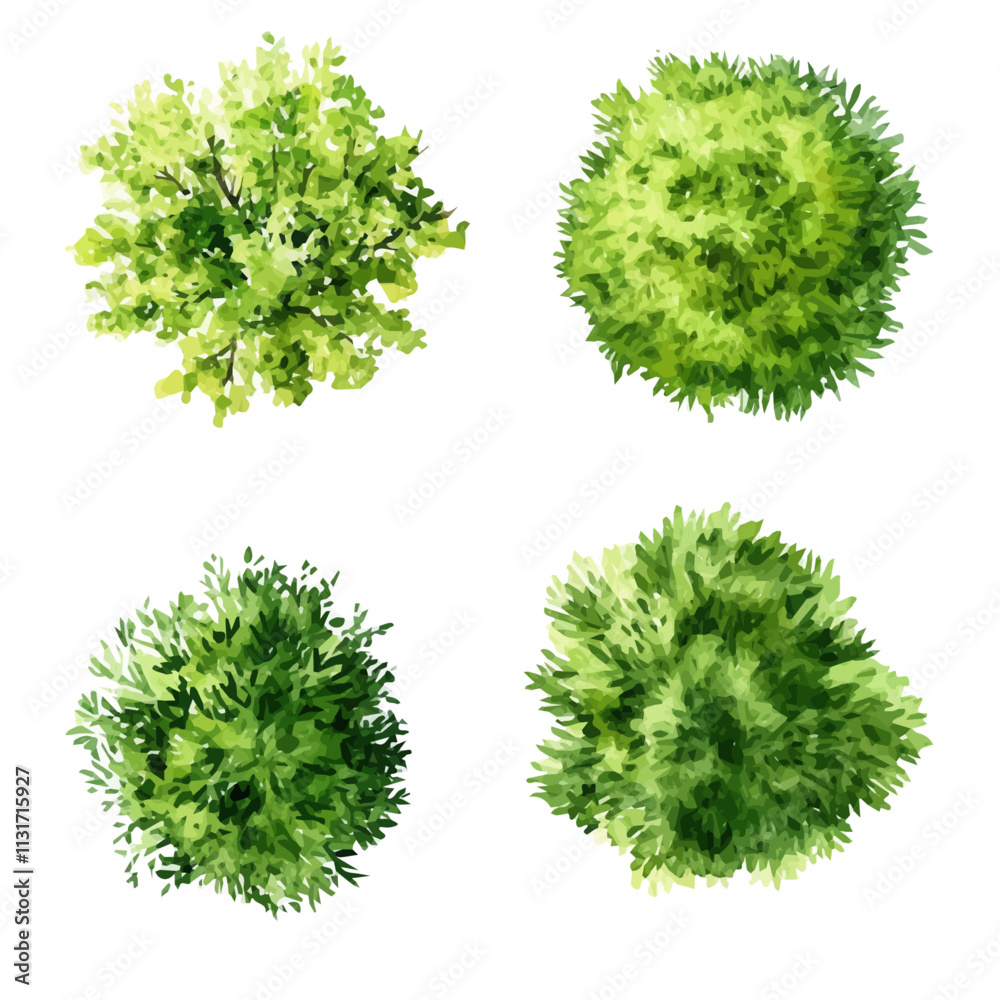 tree Illustration for Design Plan Of architecture and landscape. tree top view watercolor ...