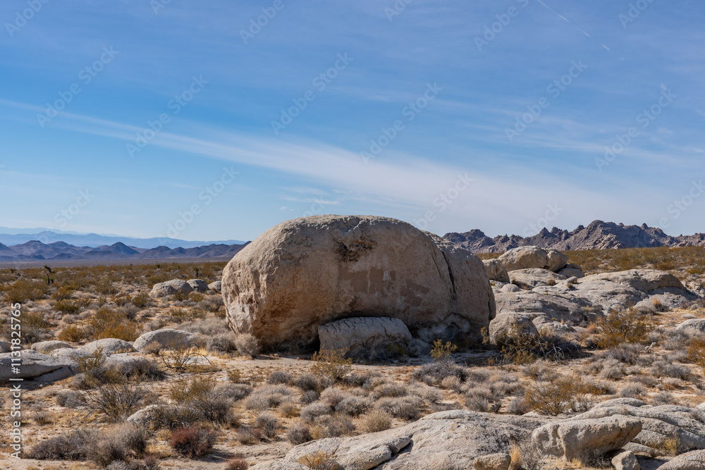 Weathering Porphyritic monzogranite (Cretaceous). Granite Mountains ...