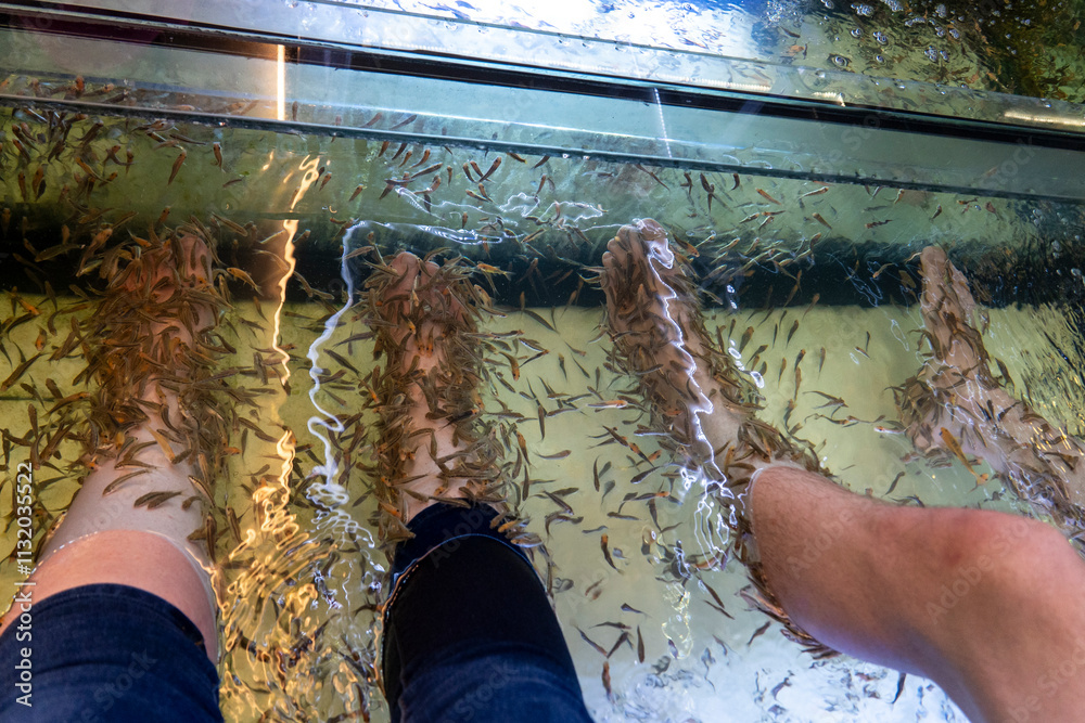 People enjoy a unique foot spa treatment with fish in a clear tank ...