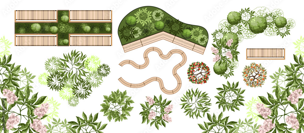 Top view elements for the landscape design plan. Trees and benches for ...