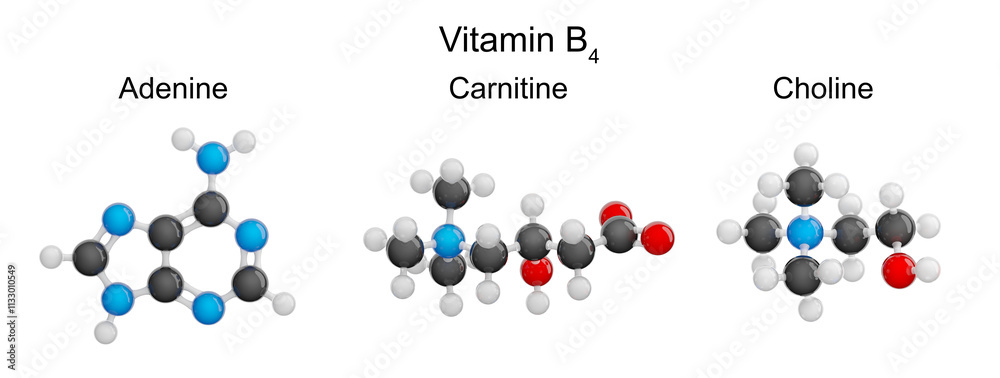 Group of vitamin B4: Adenine (C5H5N5), Carnitine (C7H15NO3), Choline ...