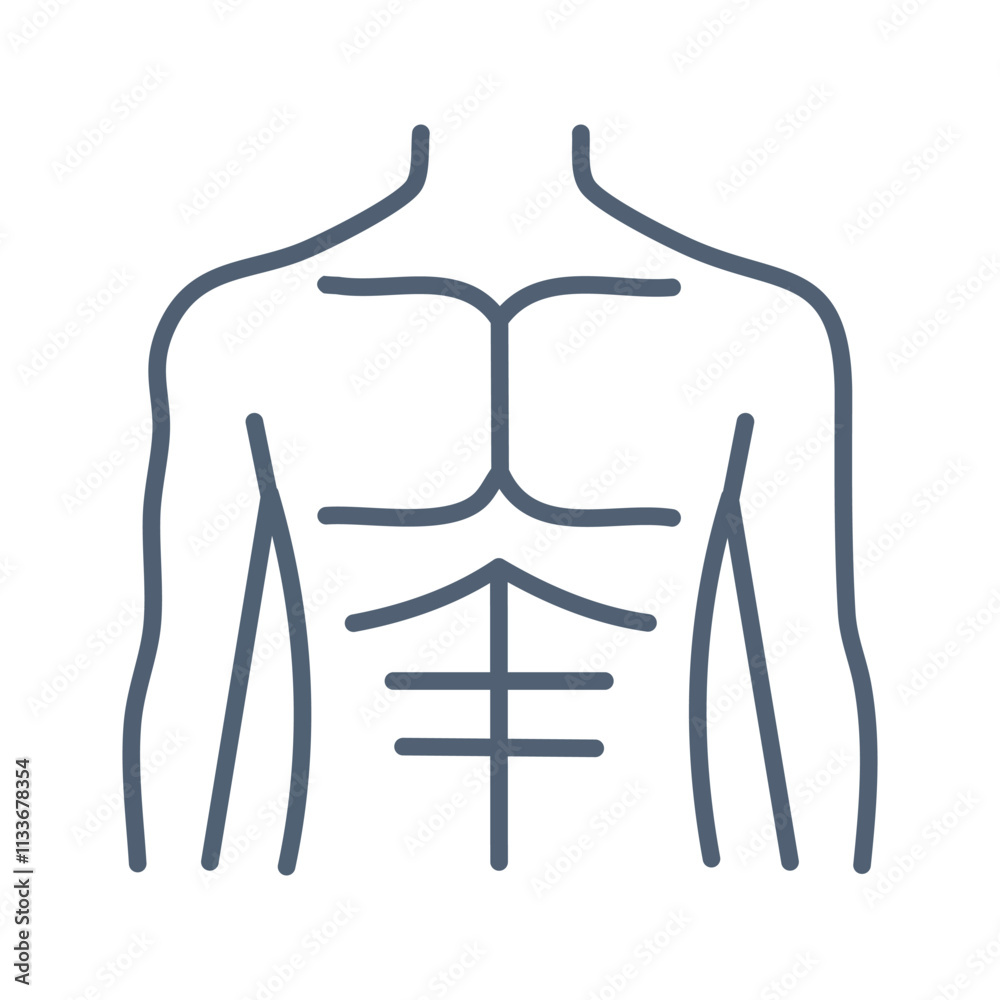 Outline male chest icon vector isolated on white background for your ...