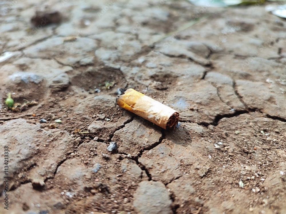 Cigarette bud is a persistent form of toxic plastic pollution ...