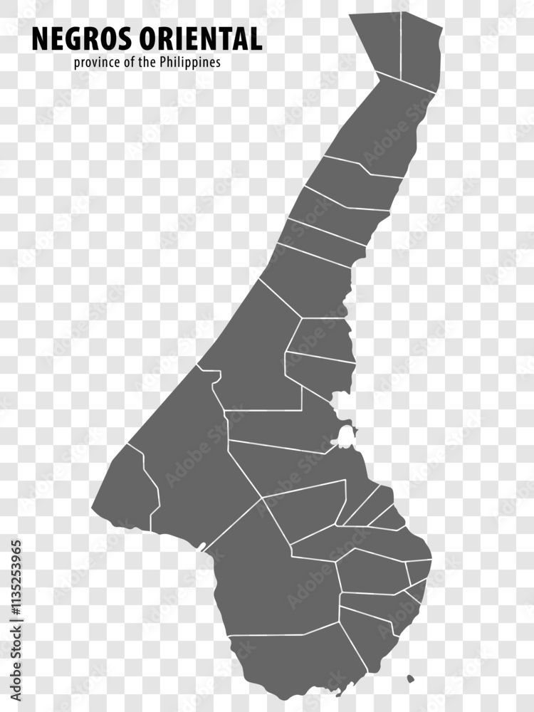 Blank map Negros Oriental of Philippines. High quality map Province of ...