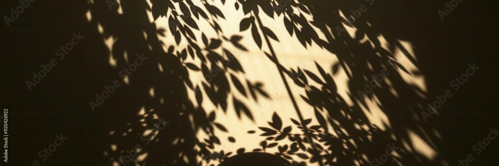 A collection of dappled light shadow overlays and textures for adding ...