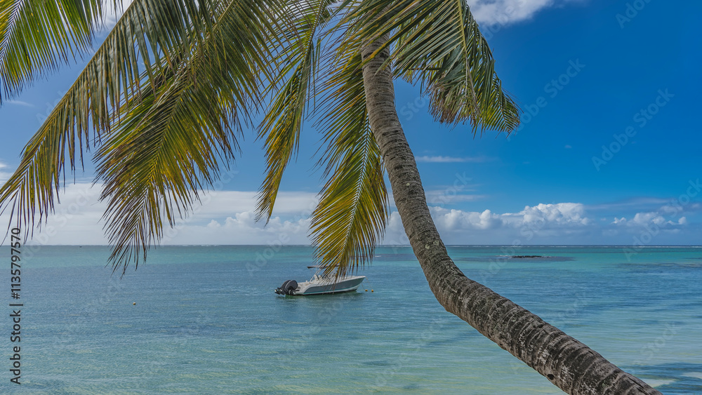 A coconut tree with a curved trunk leaned over an aquamarine-turquoise ...