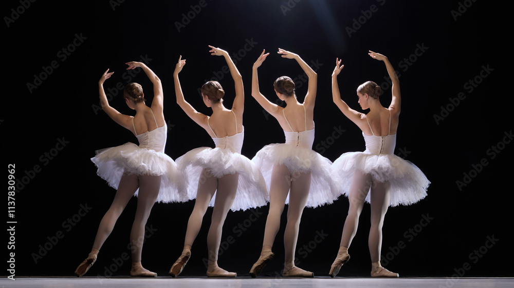 Back view full-length image of graceful elegant young girls, ballerinas in white tutus, standing ...