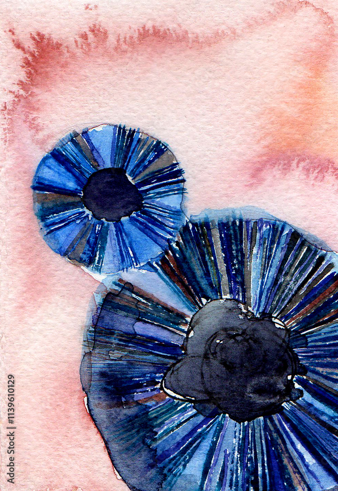 Iris of the eye. Two circles of different sizes in the lower right ...