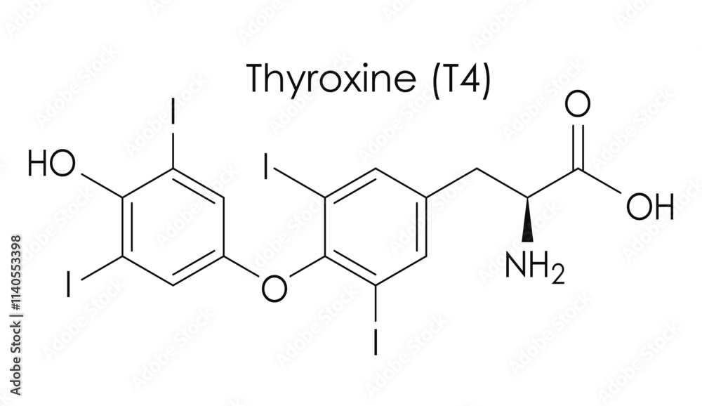Thyroxine hormone chemical formula, vector scheme of molecule structure ...
