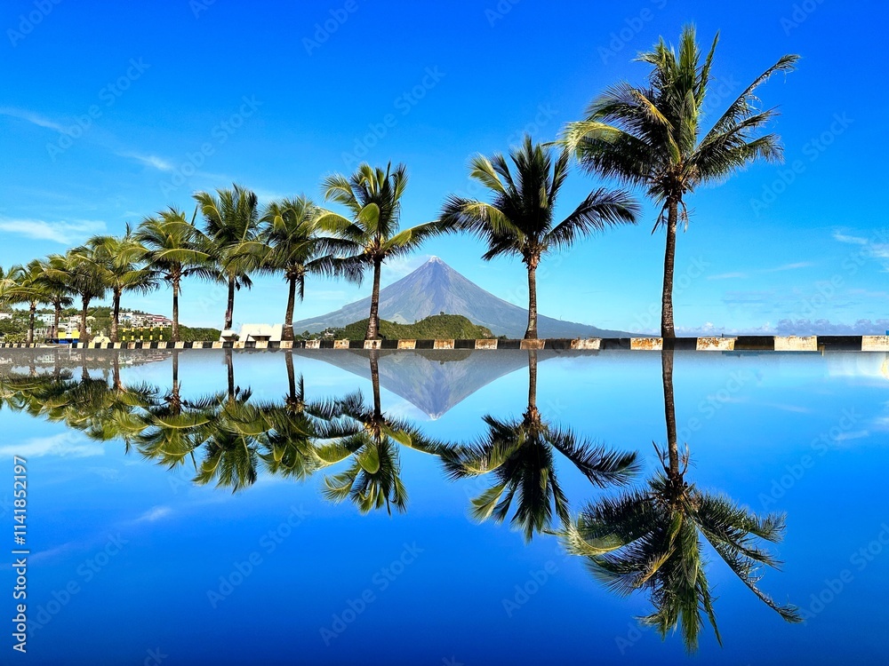 Legazpi City Boulevard reflection with a coconut tree and view of mayon ...