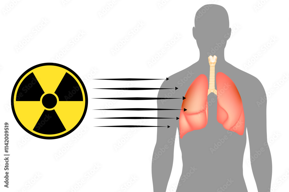 Radiation Exposure on Human Lungs. Human Body Radiation Penetration ...