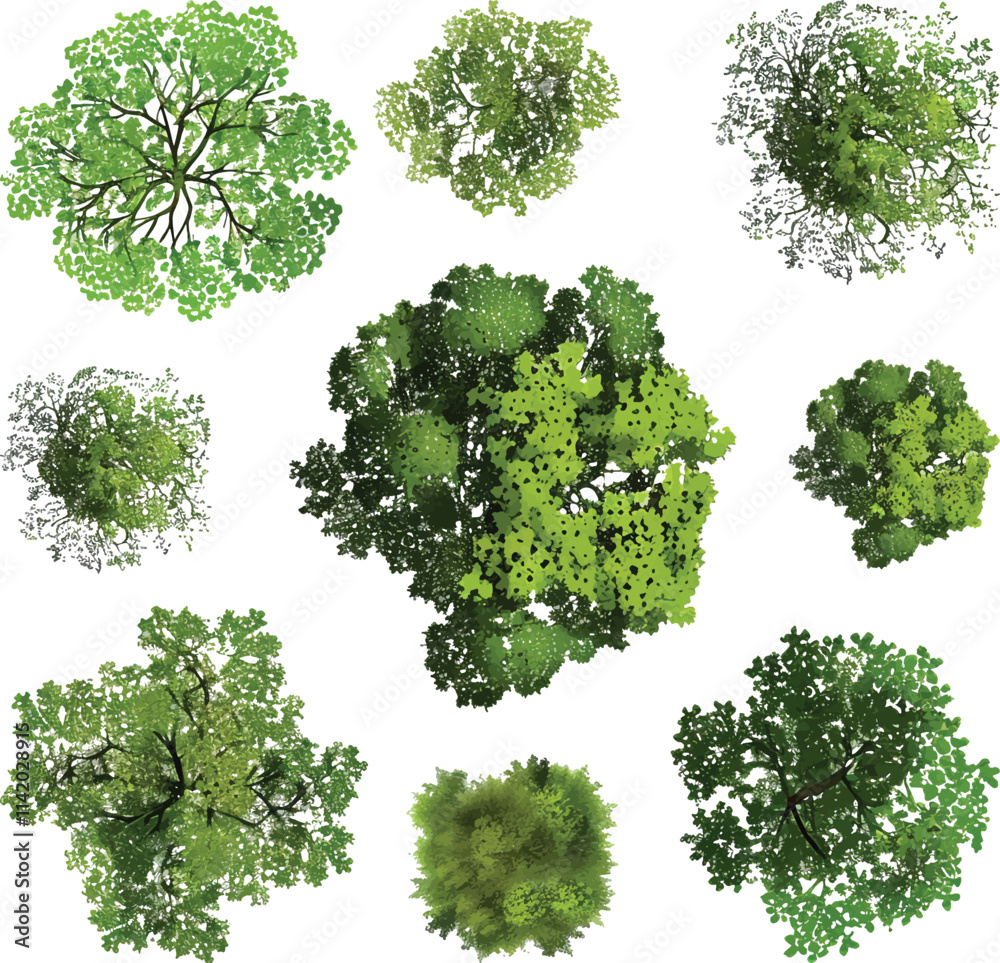 Vector watercolor of green tree top view isolated on white background for landscape layout plan ...