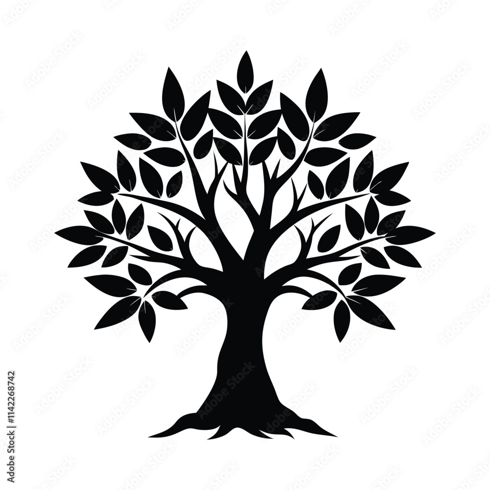 vector of Olive Tree (Olea europaea) design, labeled vector art ...