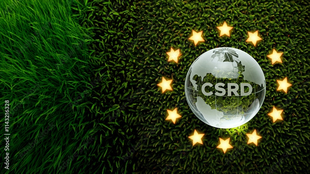 European CSRD initiative depicted on a globe over lush green grass. A ...
