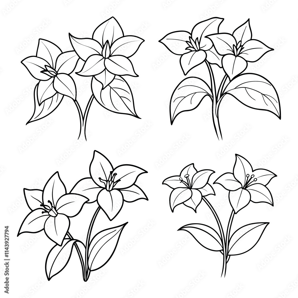 Stock-Vektorgrafik „Trillium flower outline coloring book page line art ...