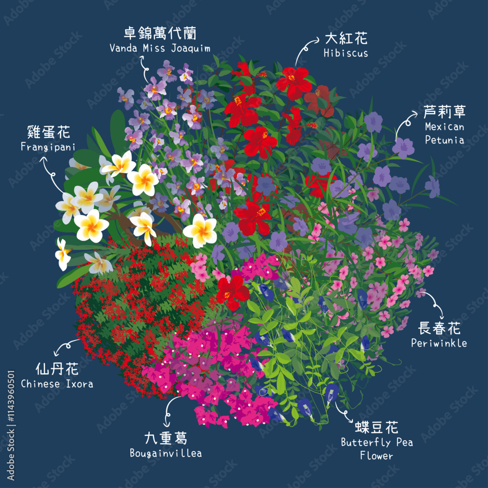 Southeast Asia Common Flowers. Translation: Van Da Miss Joaquim ...