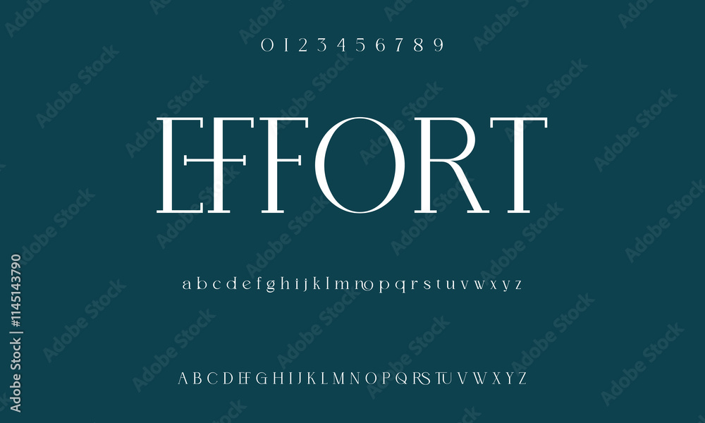 Classic serif font alphabet letters fancy gentle typographic design ...