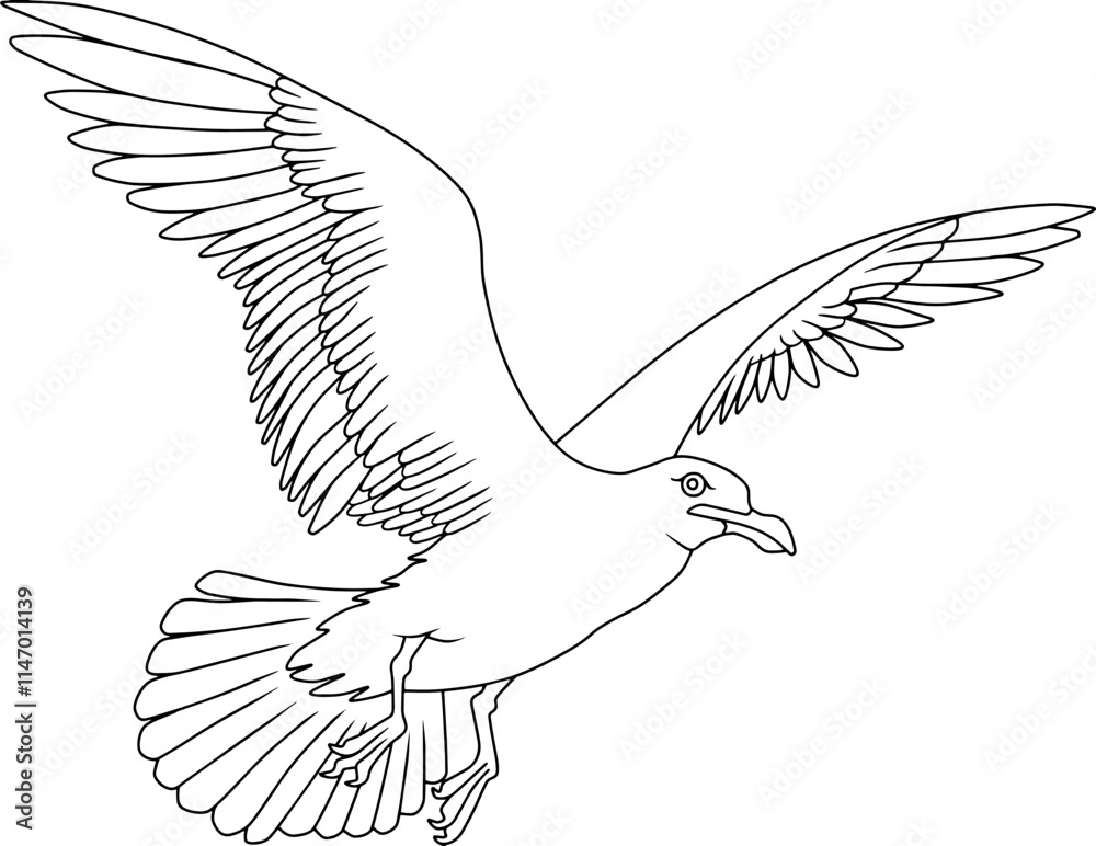 Seagull line vector illustration isolated on white background Stock ...