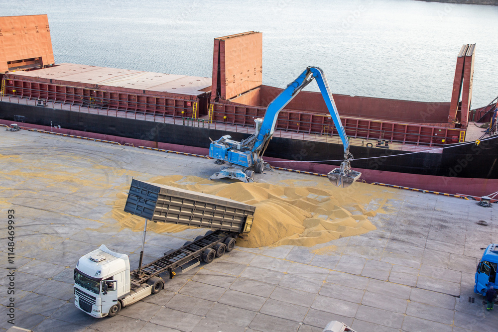 Unloading a dump truck with grain at the pier and reloading grain with ...