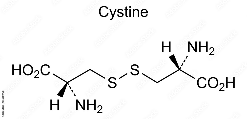 Chemical structure of cystine, drug substance Stock Vector | Adobe Stock