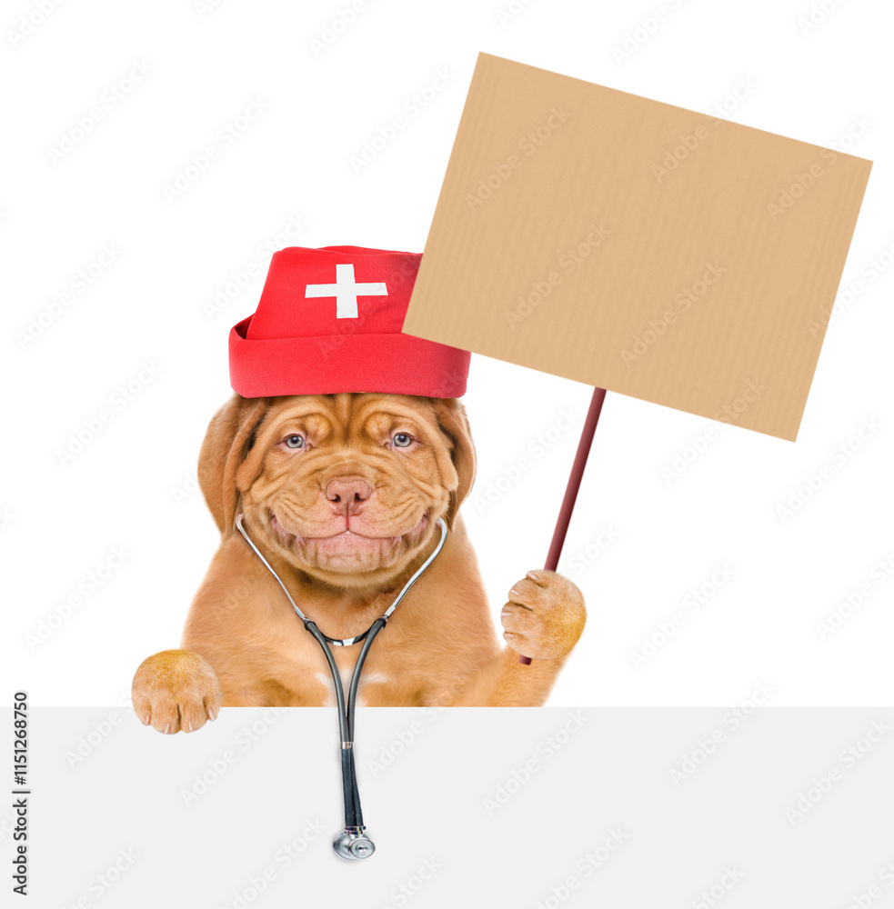 Smiling mastiff puppy wearing stethoscope on his neck and doctor's hat ...