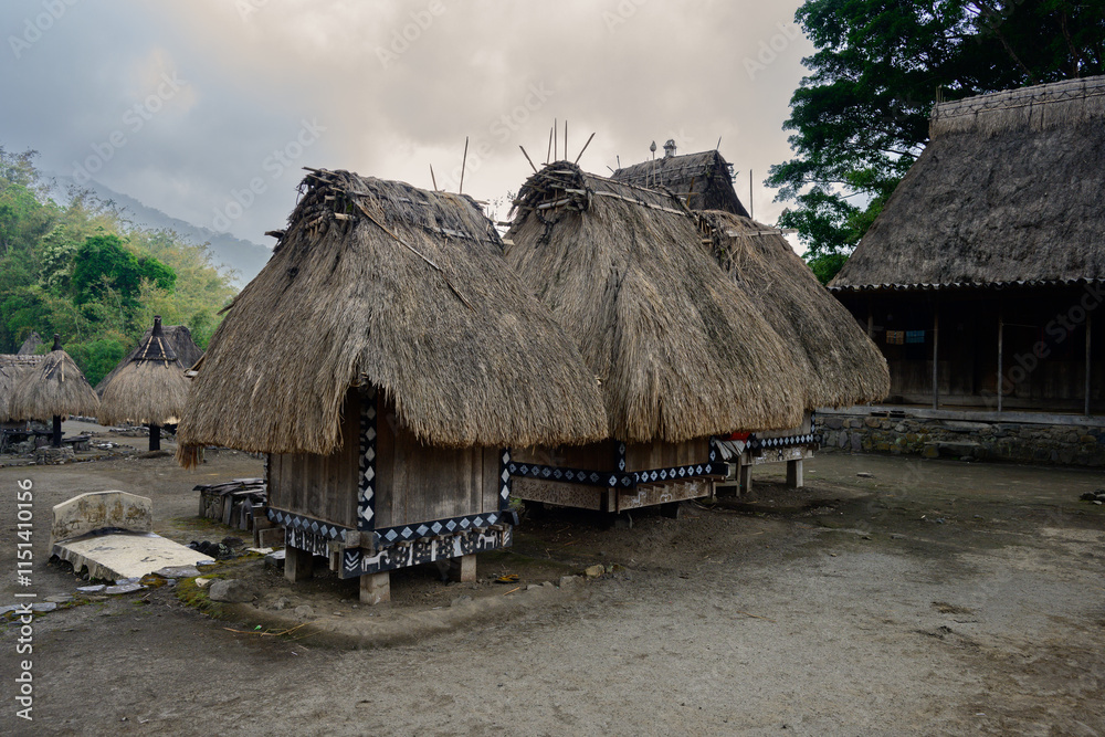 Bhaga Female Ancestral Shrine of the Ngada Tribe in Bena Traditional ...
