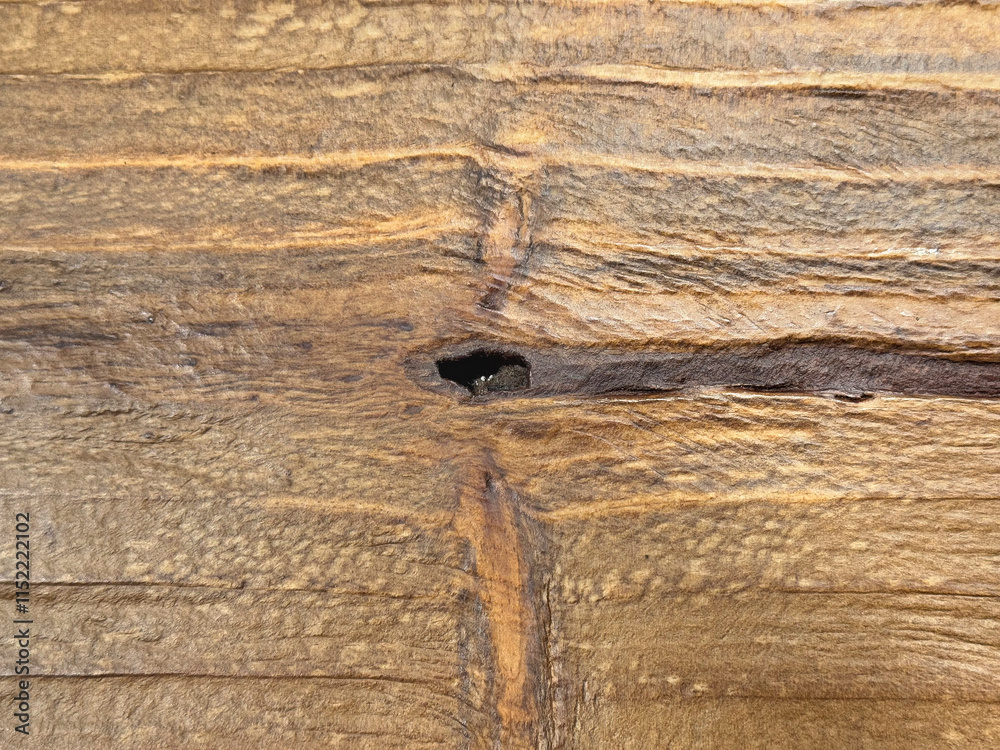 Close up of wooden tree log open pore texture. Natural solid wood or ...