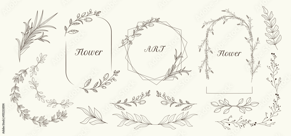 Frame. Single line art. Minimalistic herbal botanical set of border ...