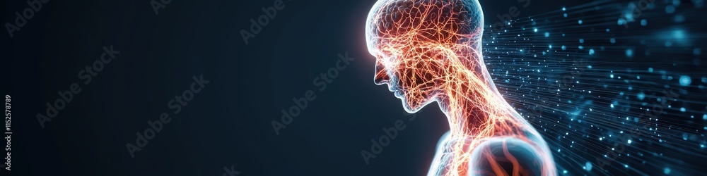 Illuminated human body scan showcasing nervous system in sci-fi style ...