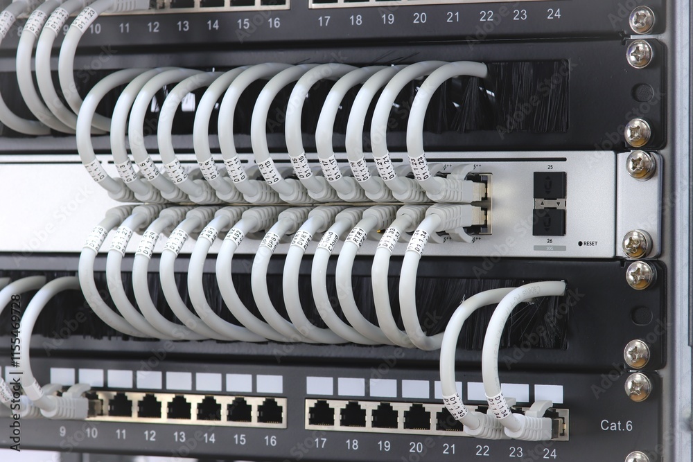 Rj45 connector for connecting a twisted pair cable. Data transmission ...