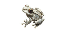 Frog Artifact Free Stock Photo - Public Domain Pictures