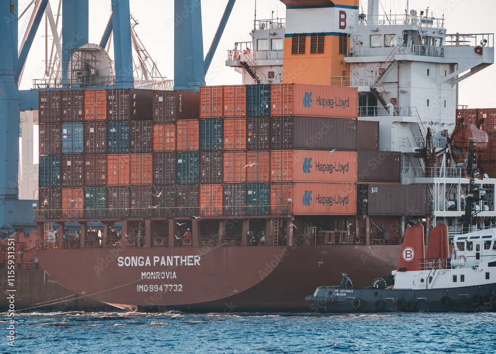 Photo Stock Hamburg, Germany: containers on the Songa Panter cargo ship ...