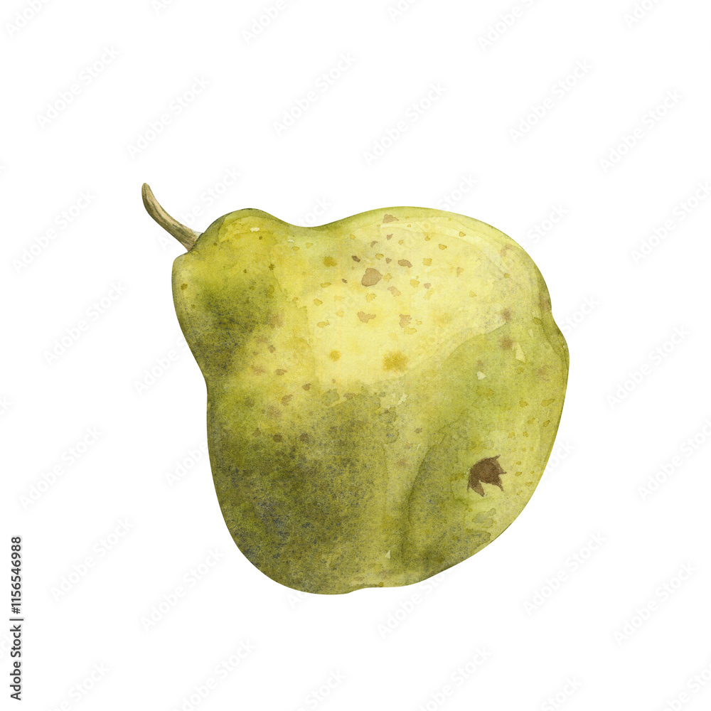 Plump curvy Pear illustration. Vibrant textured spotted green Packham ...