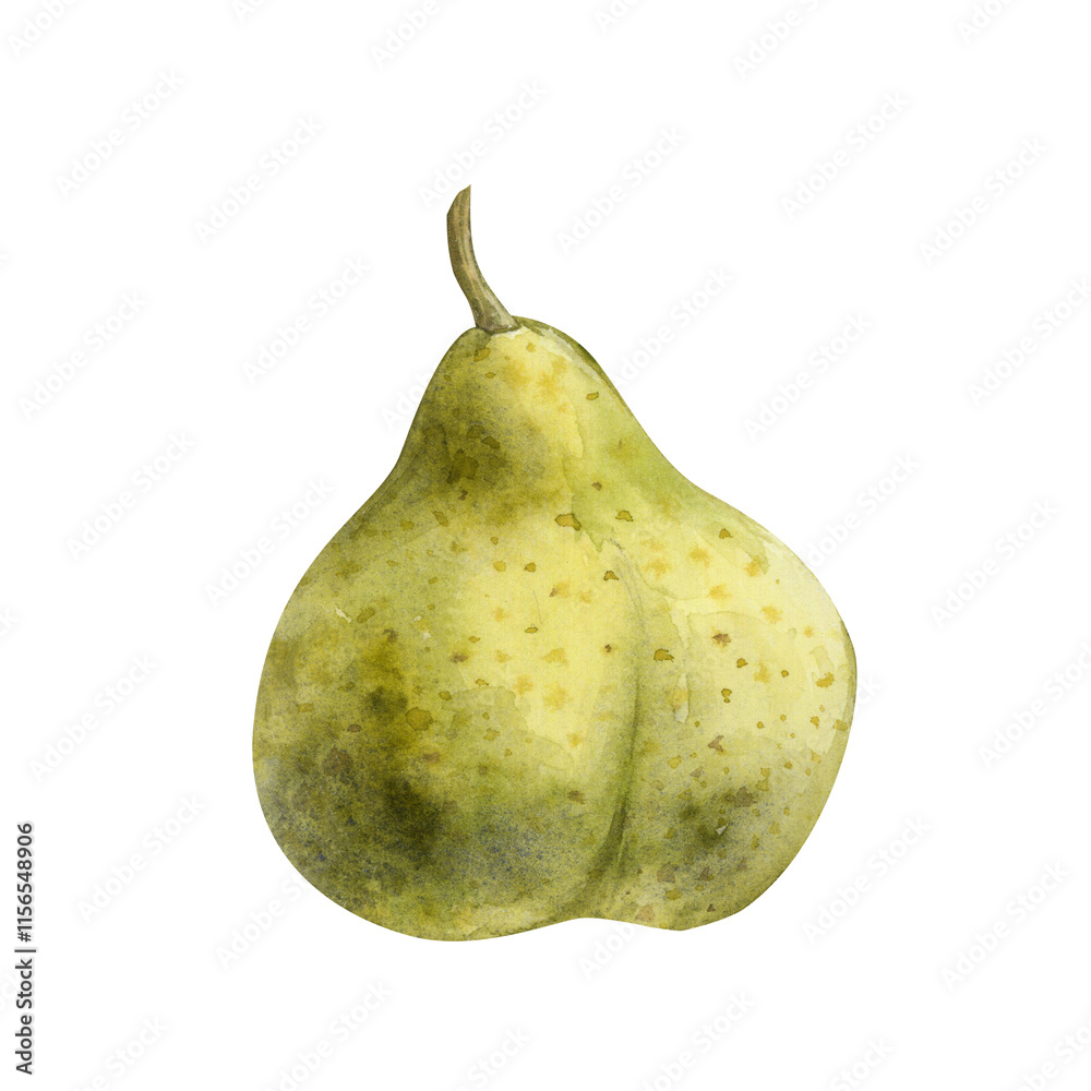 Ripe juicy green Packham Pear watercolor clipart side view. Plump curvy ...