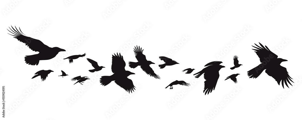 silhouettes flock of crows flying isolated on transparent background ...
