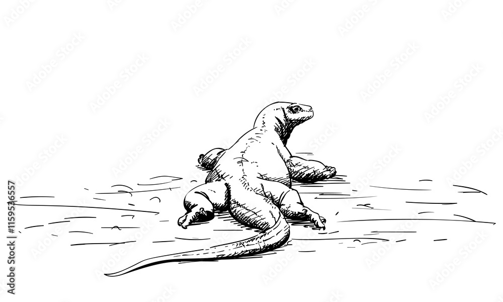 Komodo dragon hand drawn illustration, Rear view, Vector sketch of apex ...