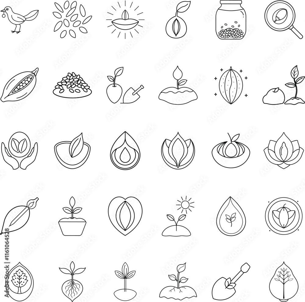 Cocoa Bean Life Cycle From Seed to Plant Growth Icons Stock Vector ...