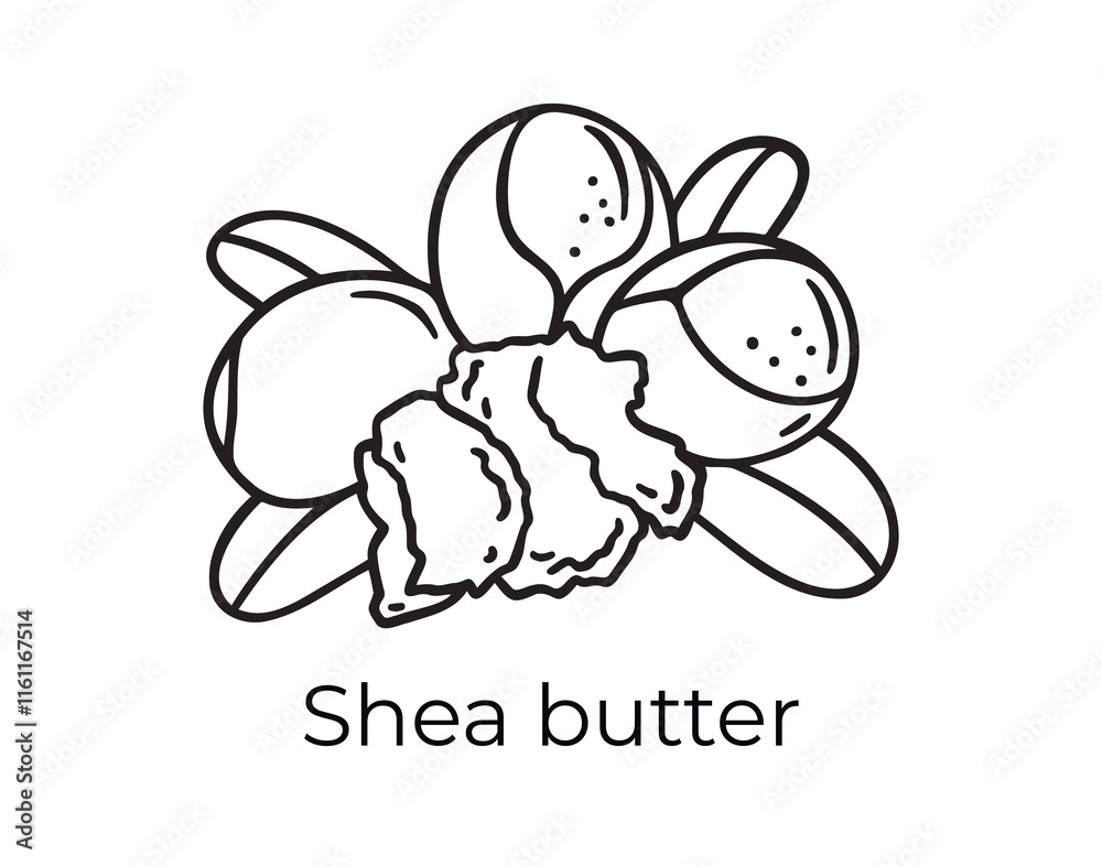 shea butter doodle hand drawn icon. Outline drawing plant organic ...