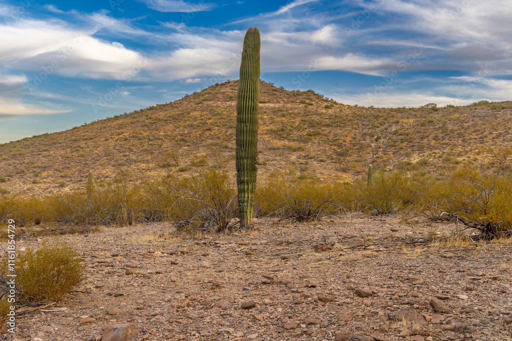 A Mountain, also known as Sentinel Peak, is a prominent hill located ...