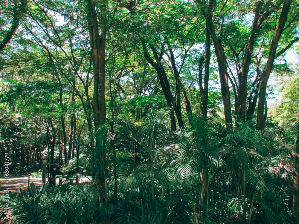 The Maria Luisa and Oscar Americano Foundation in São Paulo, Brazil ...