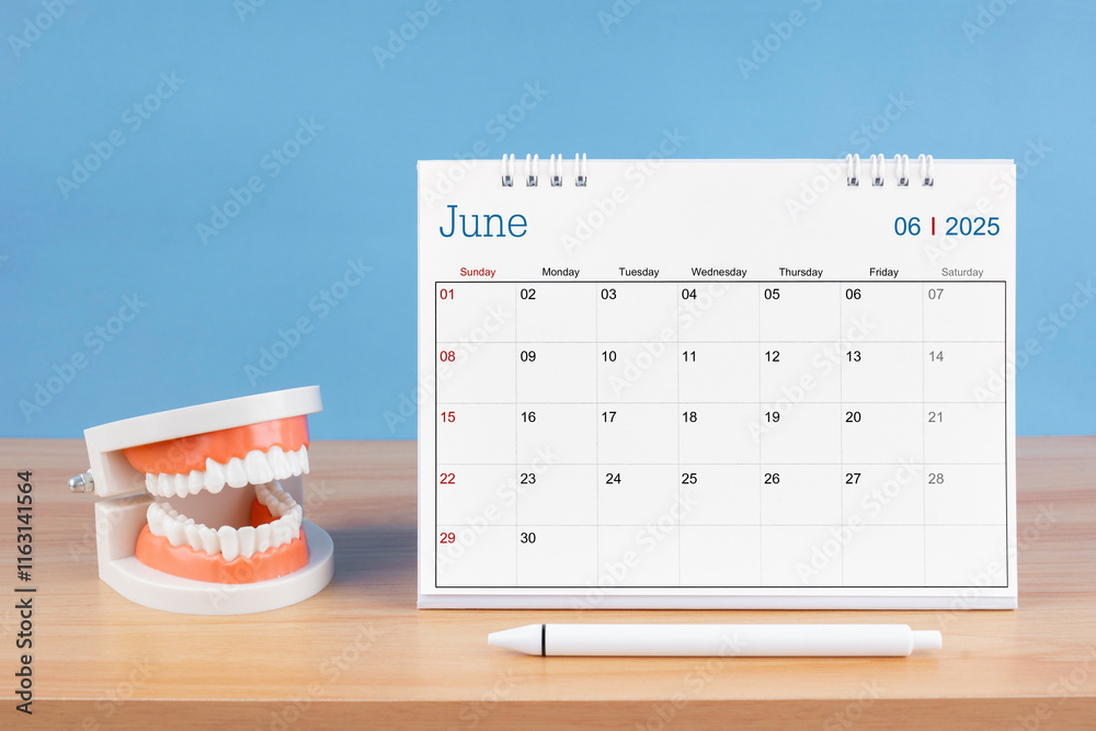 June monthly desk calendar for 2025 year and model dentures on the ...