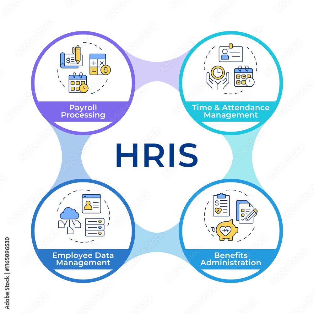 HRIS infographic circles flowchart. Human resource information system ...