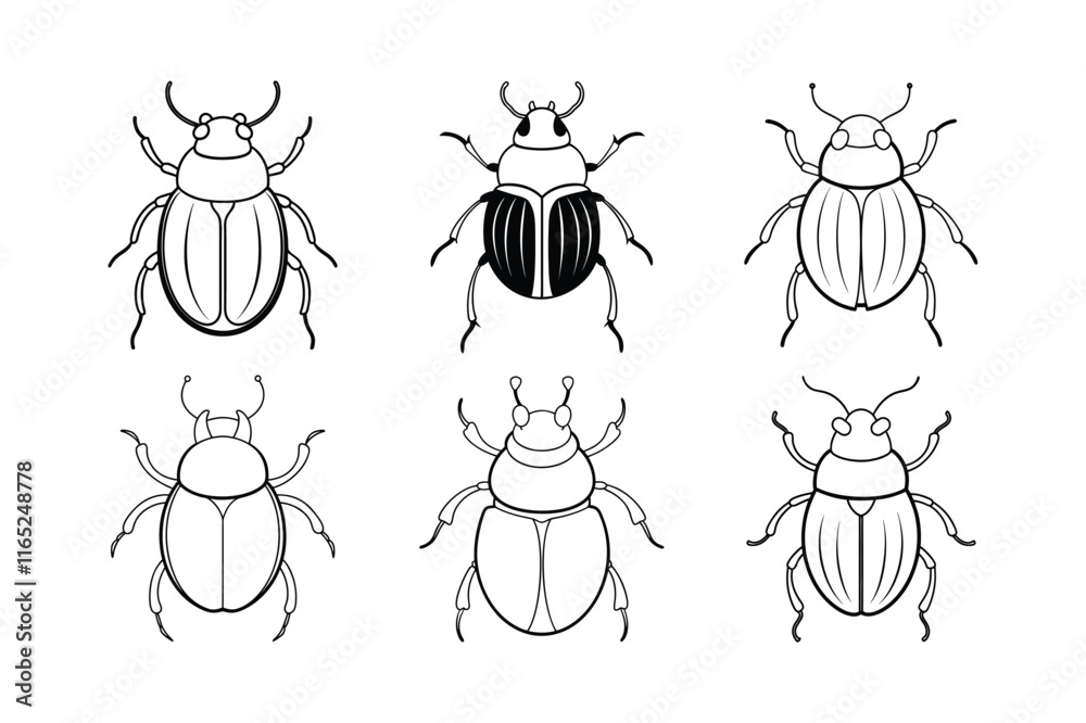 Dung Beetle (Scarabaeidae) insect design, labeled line art vector ...