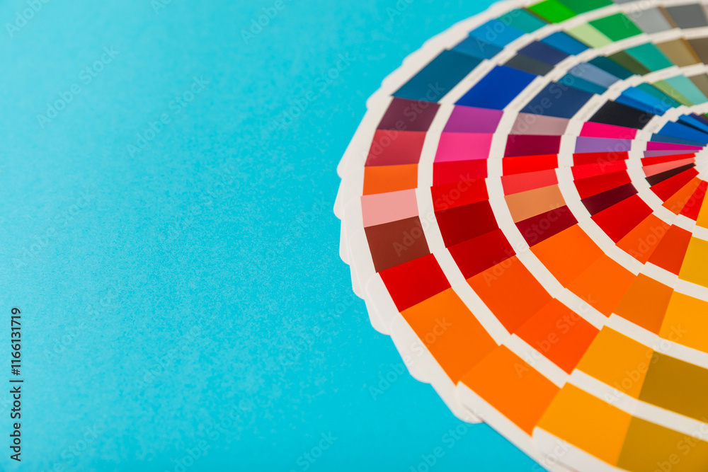 Color palette on a bright colored background. Color palette guide ...
